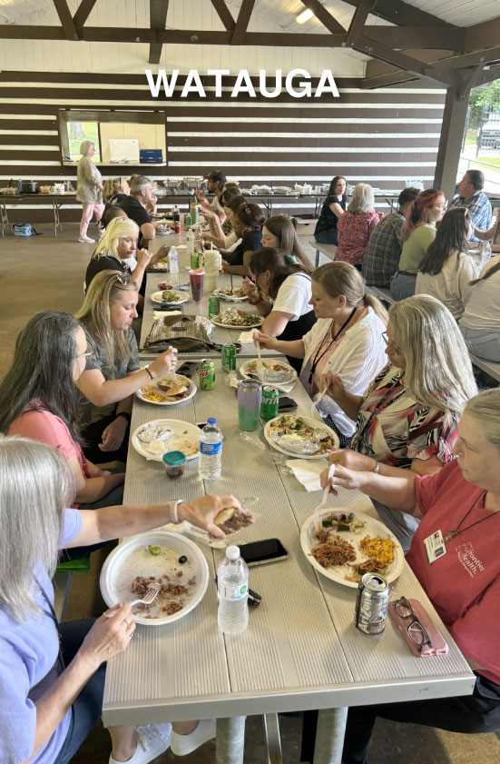 Frontier Times - Frontier Health